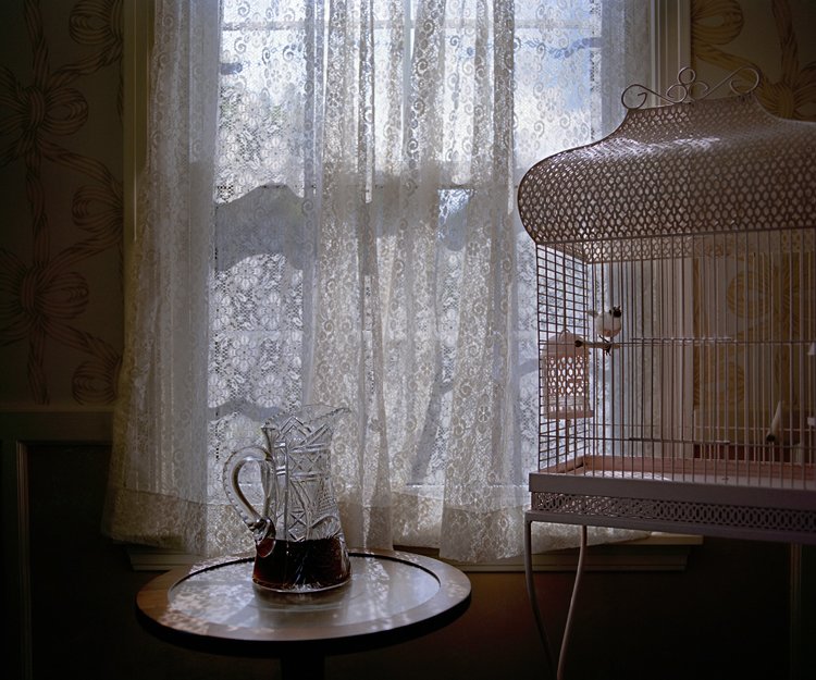 5 Contemporary Artists Defining Americana Today