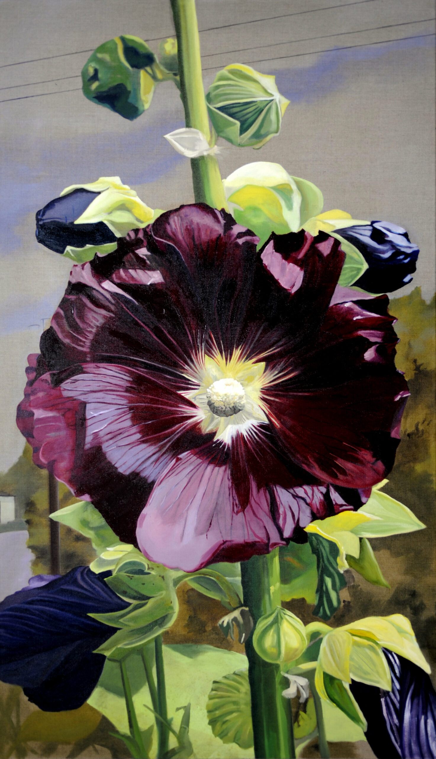 5 Austrian Artists to look out for