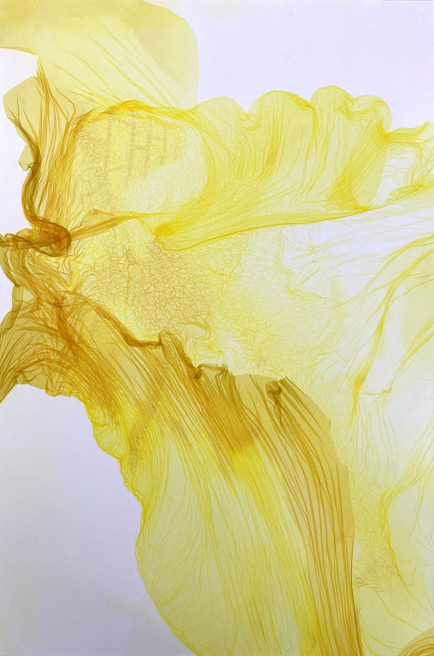 The 5 Most Highly Rated Female Artists On The Art Market