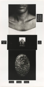 10 Famous Artworks by Lorna Simpson