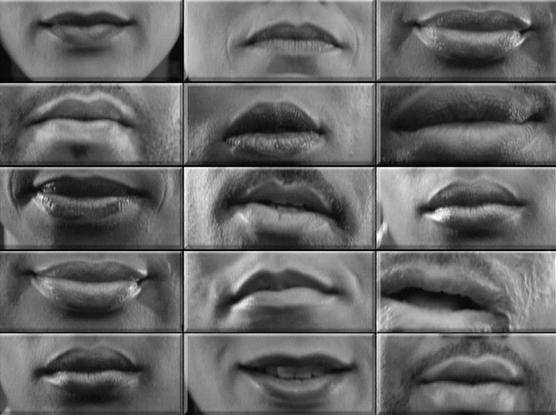 10 Famous Artworks by Lorna Simpson