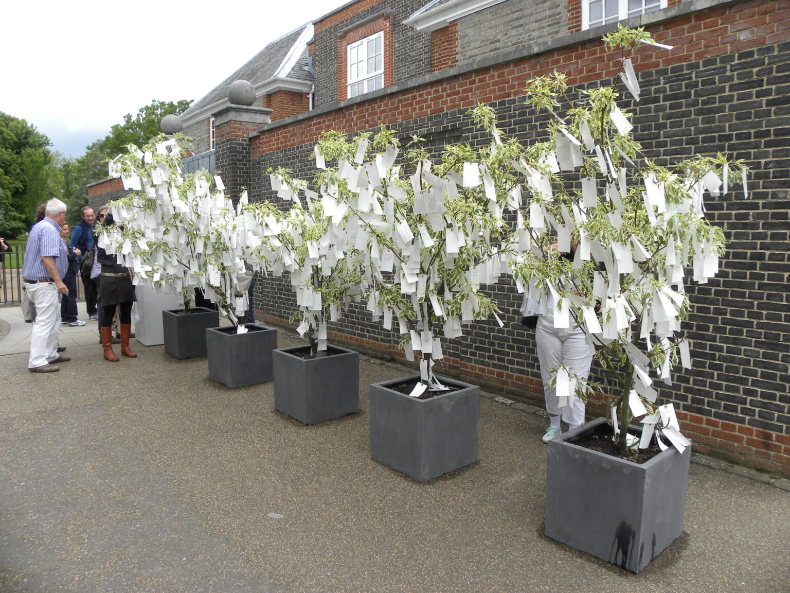 Yoko Ono's Wish Tree: A Tapestry of Dreams and Unity