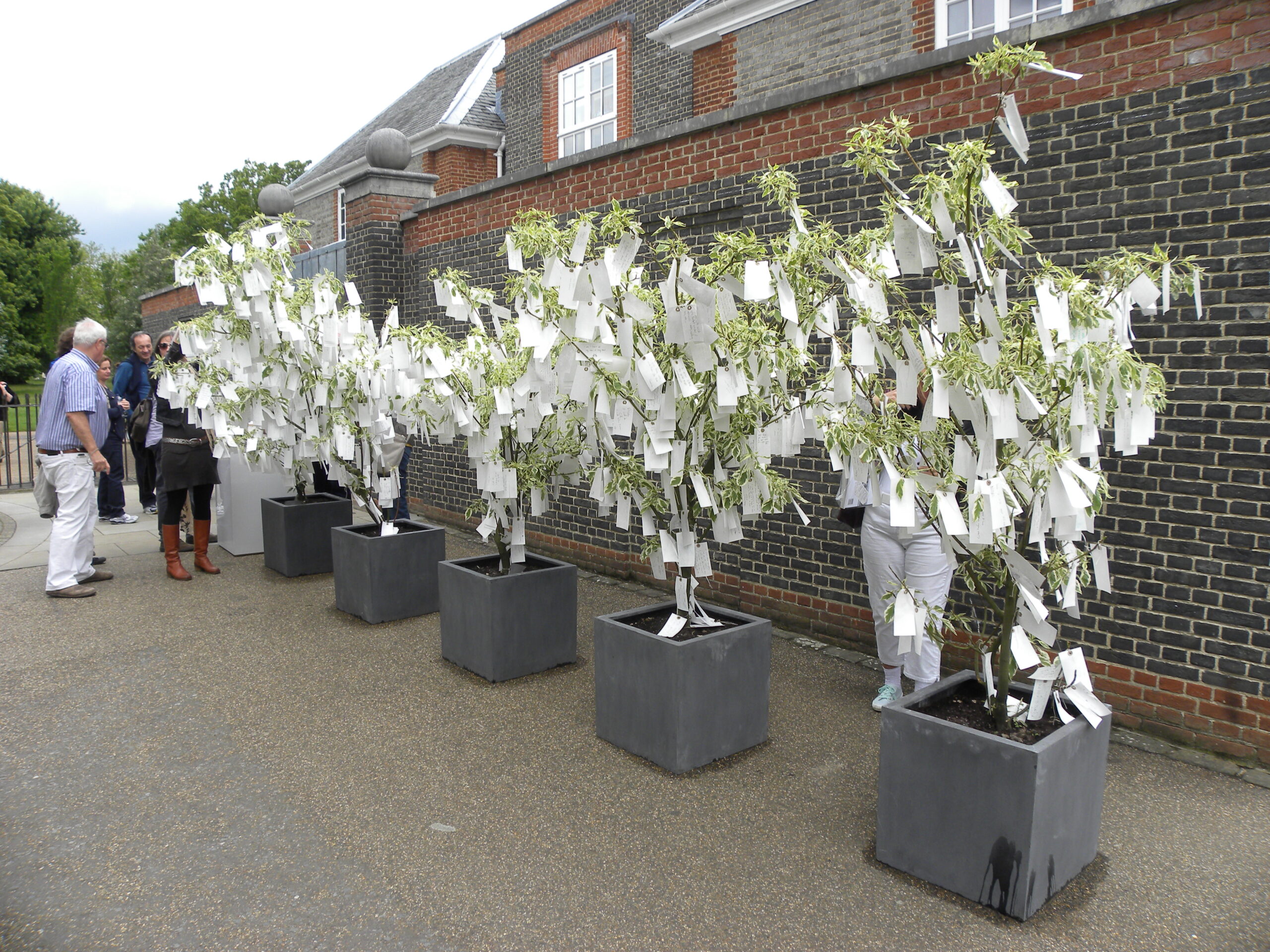 Yoko Ono's Wish Tree: A Tapestry of Dreams and Unity