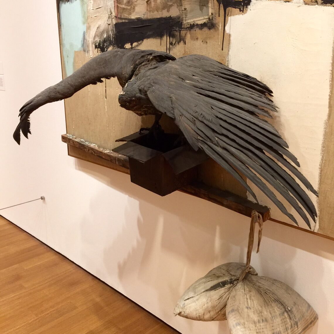 Exploring Canyon: An Artistic Journey by Robert Rauschenberg