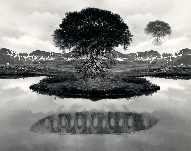 Exploring Jerry Uelsmann's Untitled in Gallery Spotlight