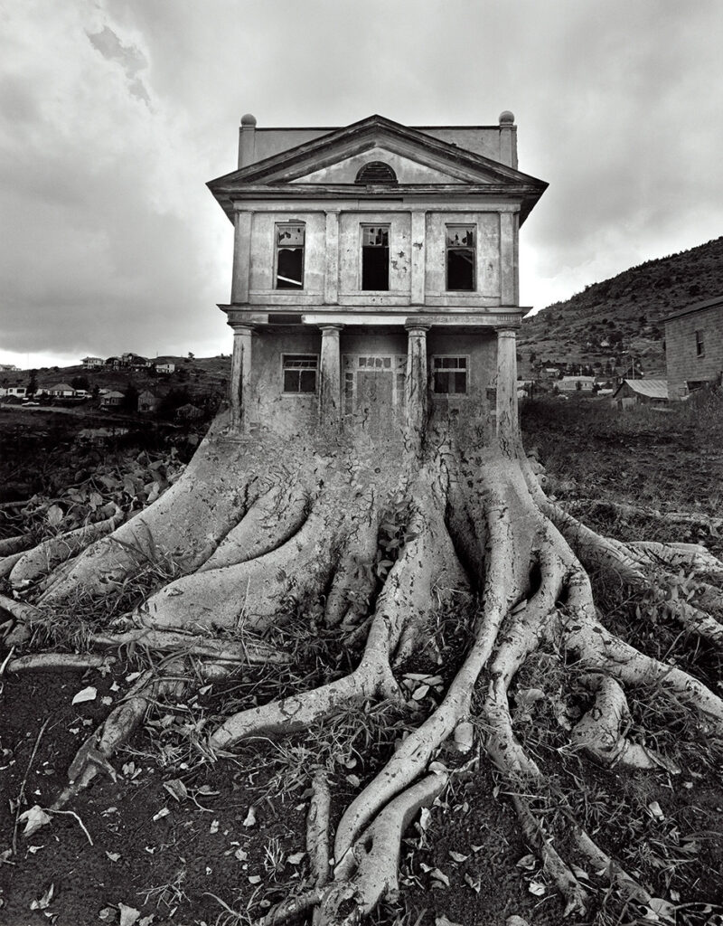 Tree House by Jerry Uelsmann: A Journey into the Surreal