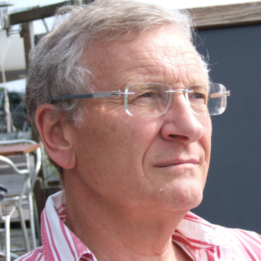 Art Insight: Les Marchés aux Fleurs by Jean-Claude Picot