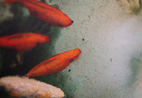 Artist Valeria Pesce: Art for sale at the best price