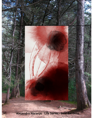 Alejandro Naranjo: Artista Pintor, Dibujante, Artista Conceptual ...