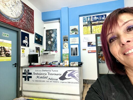 stefania turco: 화가 이탈리아 출신 - SINGULART