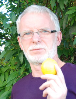 Adam Faglio Artist: Paintings for sale - Singulart