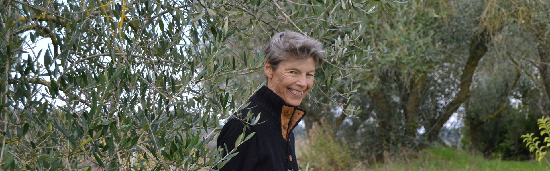 Artist Susan Monk: Art for sale at the best price