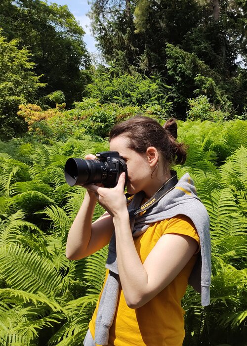 Ivona Zubakova Artist: Artworks for sale - Singulart