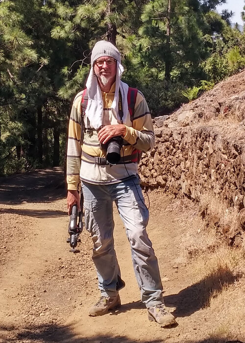 jean-luc bohin Artist: Artworks for sale - Singulart