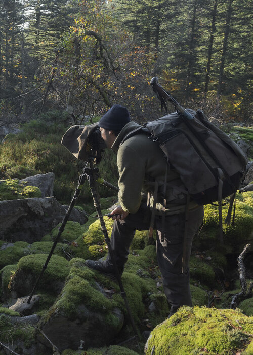 Tableau géologique de Frédéric Demeuse (2019): Fotografía Digital en ...