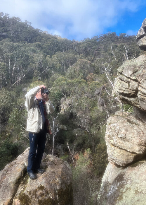 Garden of the Senses de Russell Brown (2024) : Photographie Digital sur ...