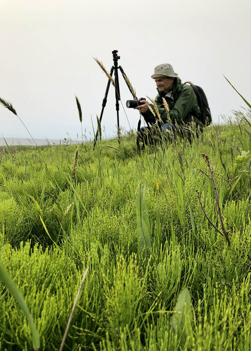 La belle de Séville by Jean Vachon (2025) : Photography Digital on Paper - Singulart