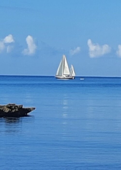 Xesca Perelló: Artista Pittrice contemporaneo Spagnolo - Singulart