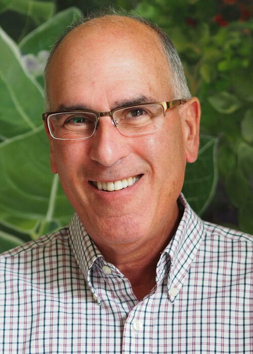 Steven Fleit Artist: Paintings for sale - Singulart