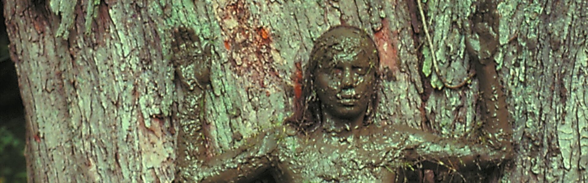 Ana Mendieta Tree Of Life