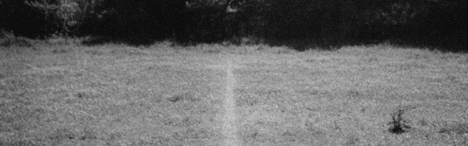 Richard Long Art for Sale on SINGULART