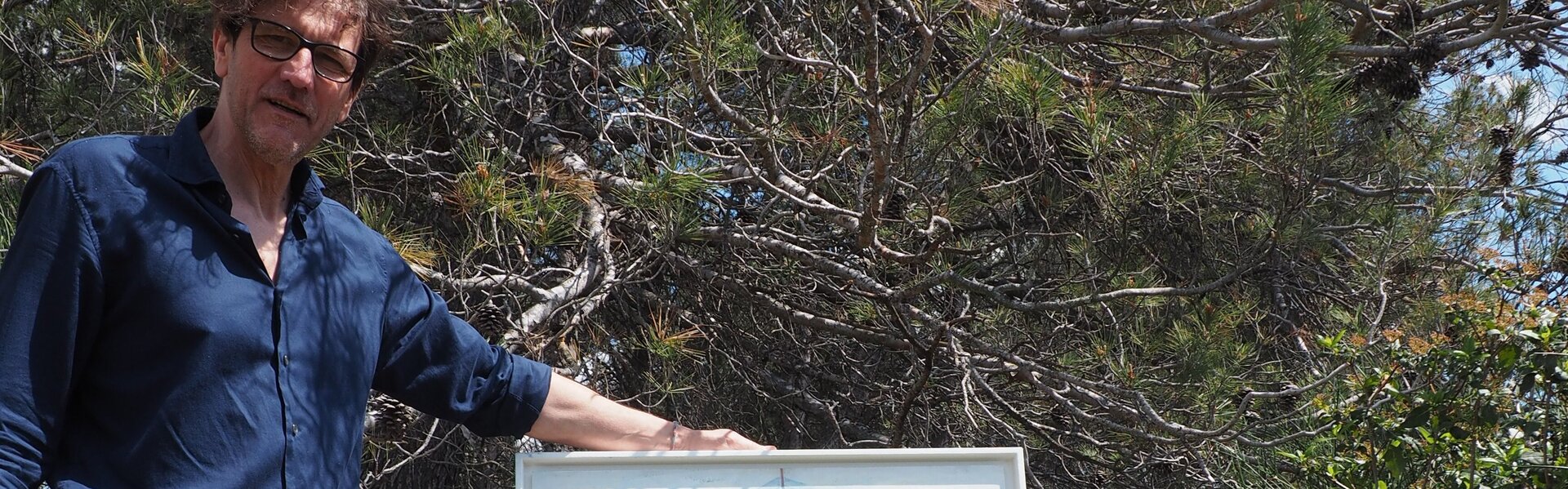 Jean-Marc Moro Artist: Paintings for sale - Singulart