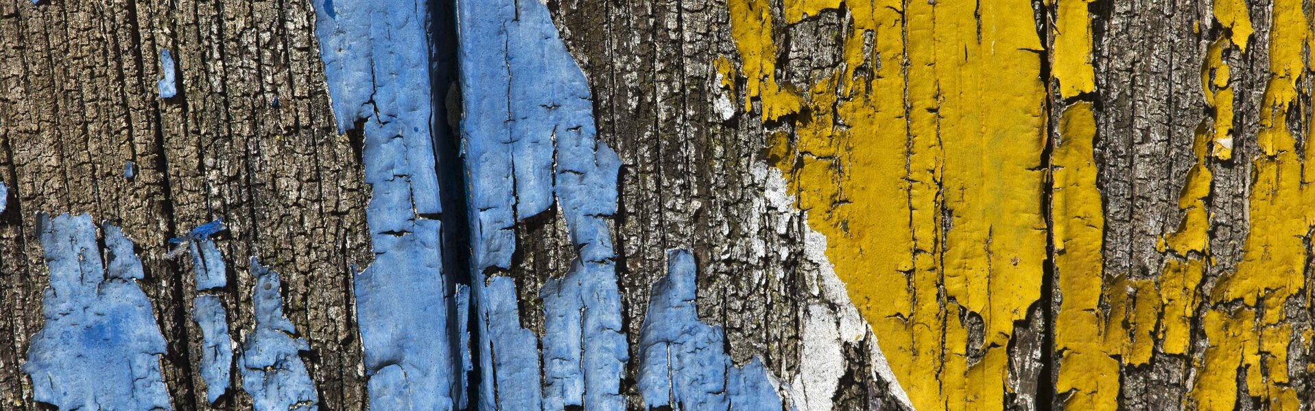 Alessio Miranda: Italienischer Fotograf - Singulart