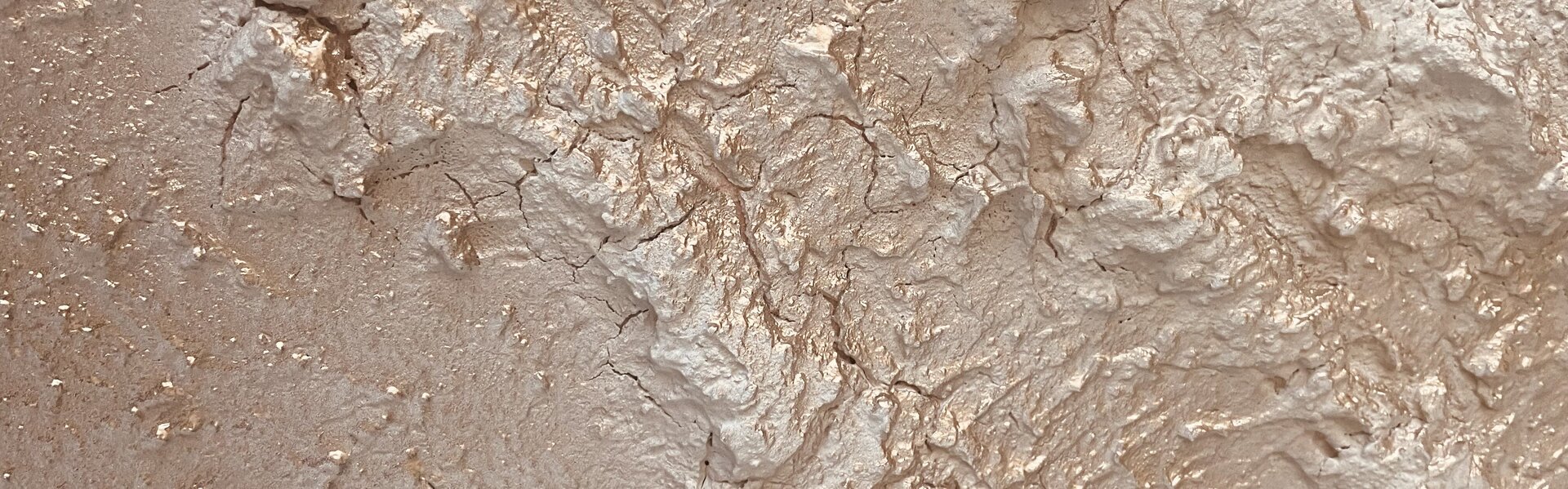 Chacha Art: Belgische Malerin - Singulart