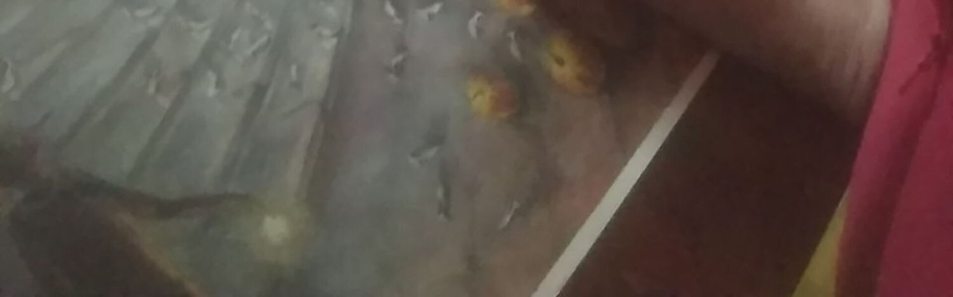 Aleksandr Tkachenko: Artista Artista Concettuale contemporaneo Austriaco - Singulart