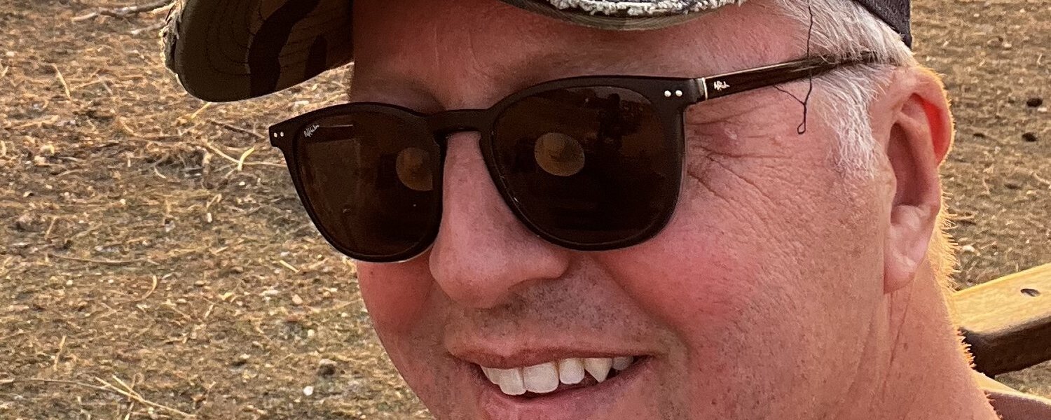 Stéphane VINCENT: 画家 French - Singulart