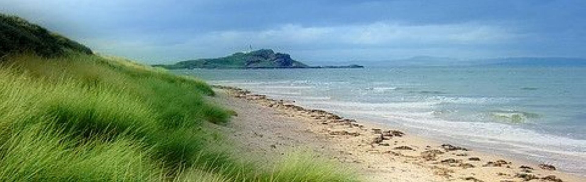 Denis Mihai Artist: Paintings for sale - Singulart