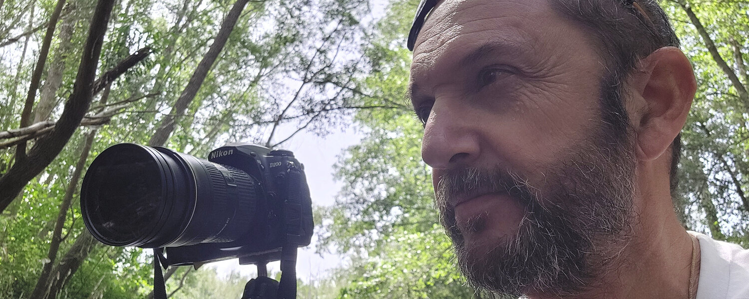 Xavier Manonelles Forcada Artist: Artworks for sale - Singulart