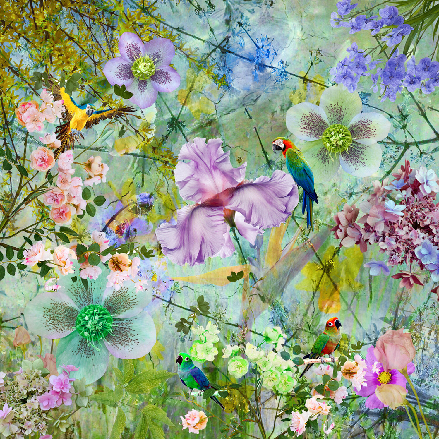 Garten Eden 1 by Andrej Barov (2015) : Photography Hybrid on Canvas ...