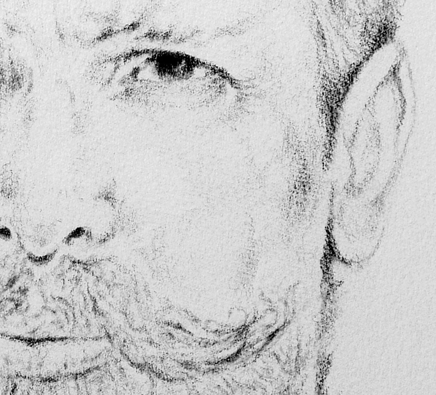 Portrait of Pyotr Stolypin by Olga Akasi (2012) : Drawing Pencil on ...