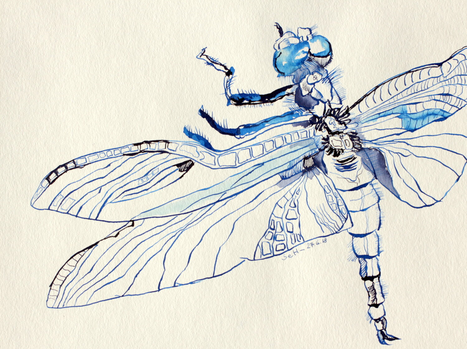 Die Libelle, still über den See von Susanne Haun (2018): Zeichnungen ...