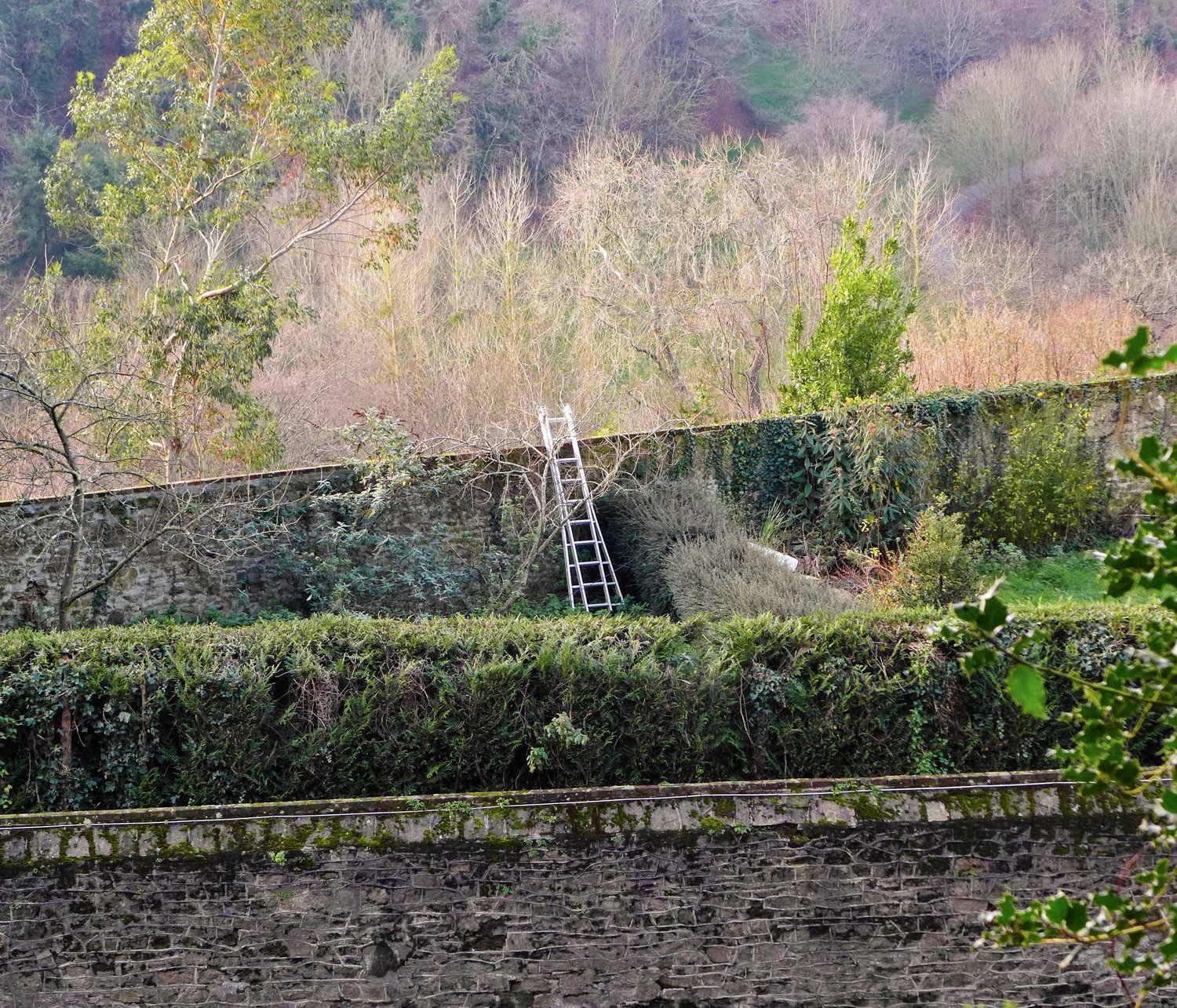 Tronc commun # 8. Manche, France. 2016. von Emmanuel Blivet (2016 ...