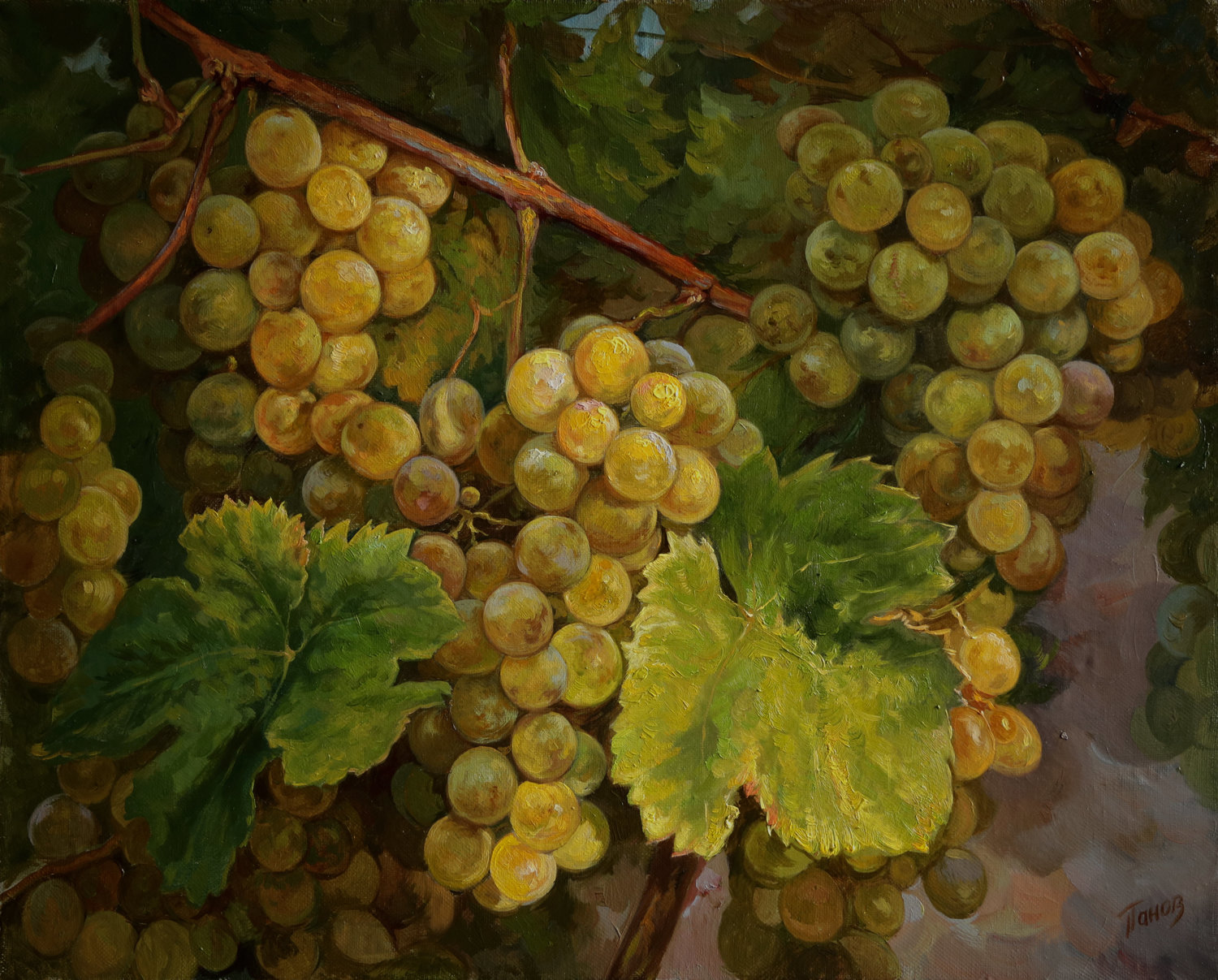 Grape Vine Paintings