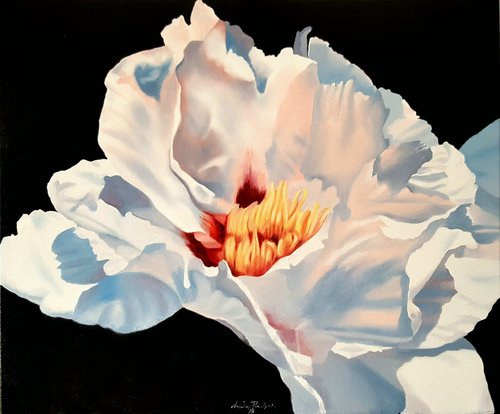 CORTESE PHEONIA by Luigi Maria De Rubeis (2018) : Painting Oil on ...