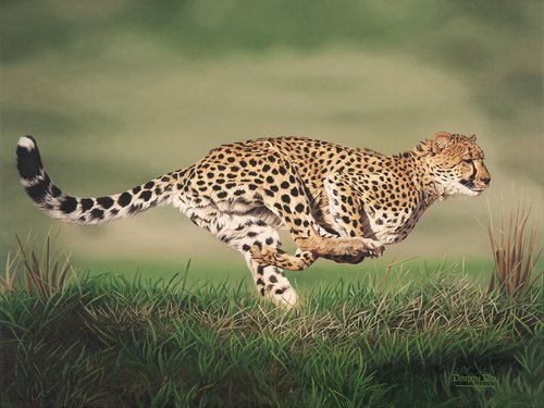 Breathtaking de Danny Day (2013): Pintura Óleo en Lienzo - Singulart