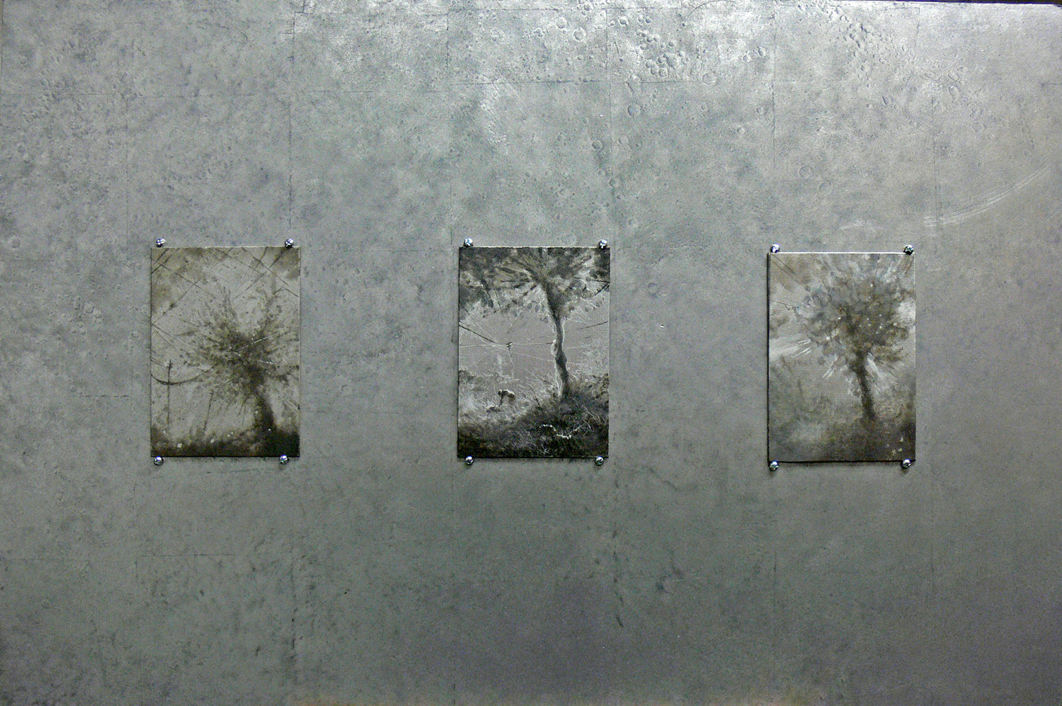 Studies of a Tree as an Explosion by Vladimir Davidenko (2011 ...