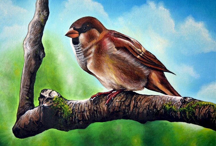 Oil Paintings Of Birds