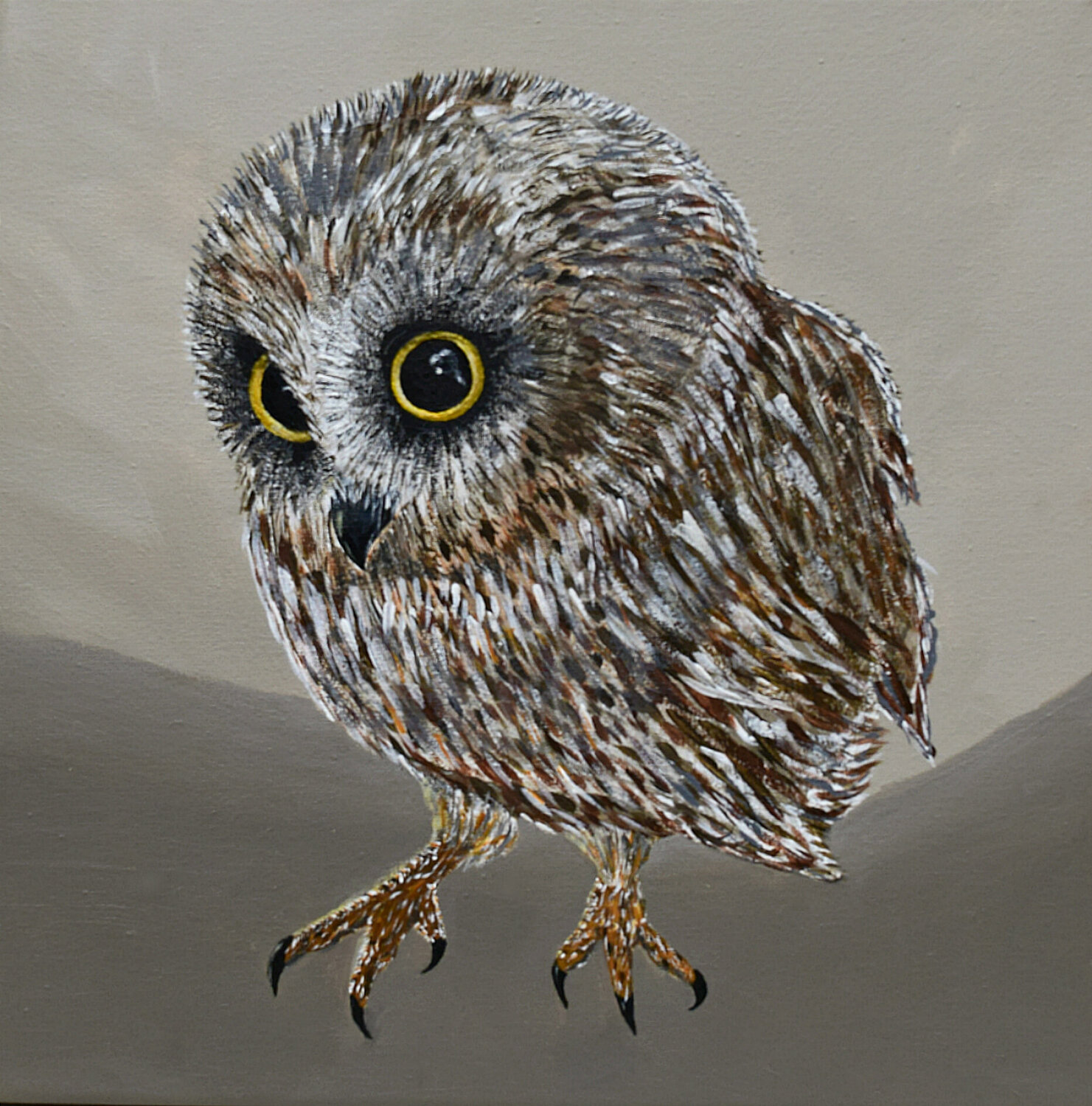 Realistic Baby Owl Drawing
