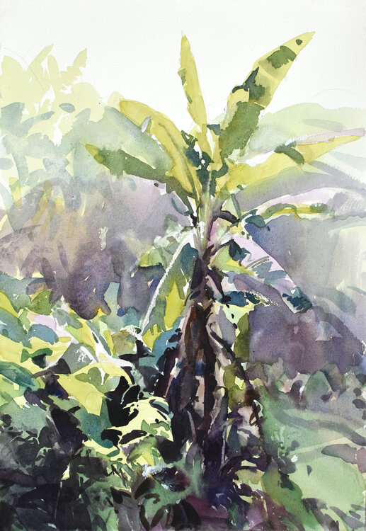 Banana Tree Painting