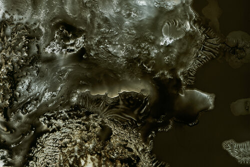 Sepia Photography for Sale - SINGULART