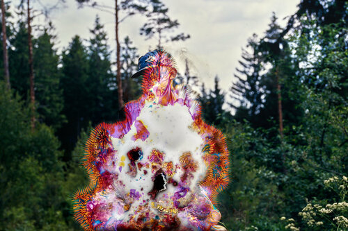 ハイブリッドアート写真販売 : 現代ハイブリッドアート写真をオンラインショッピング - SINGULART