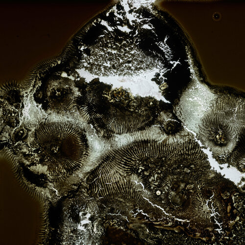 Modern Photography for Sale - SINGULART