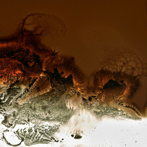 Modern Photography for Sale - SINGULART