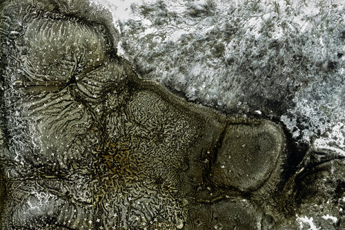 Modern Photography for Sale - SINGULART