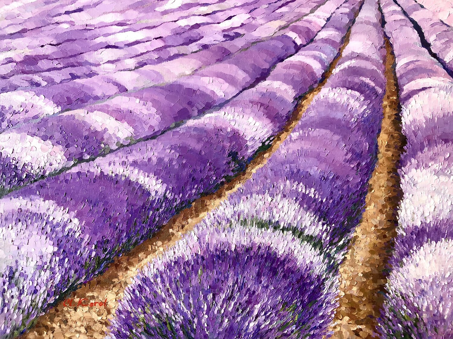 Lavender