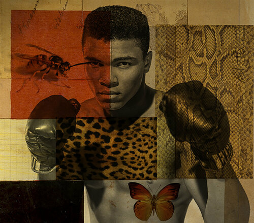 Float like a butterfly sting like a bee by Thomas Dellert (2015 ...